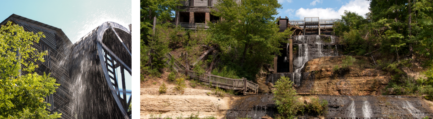 Immerse Yourself in Nature - Visit Meridian